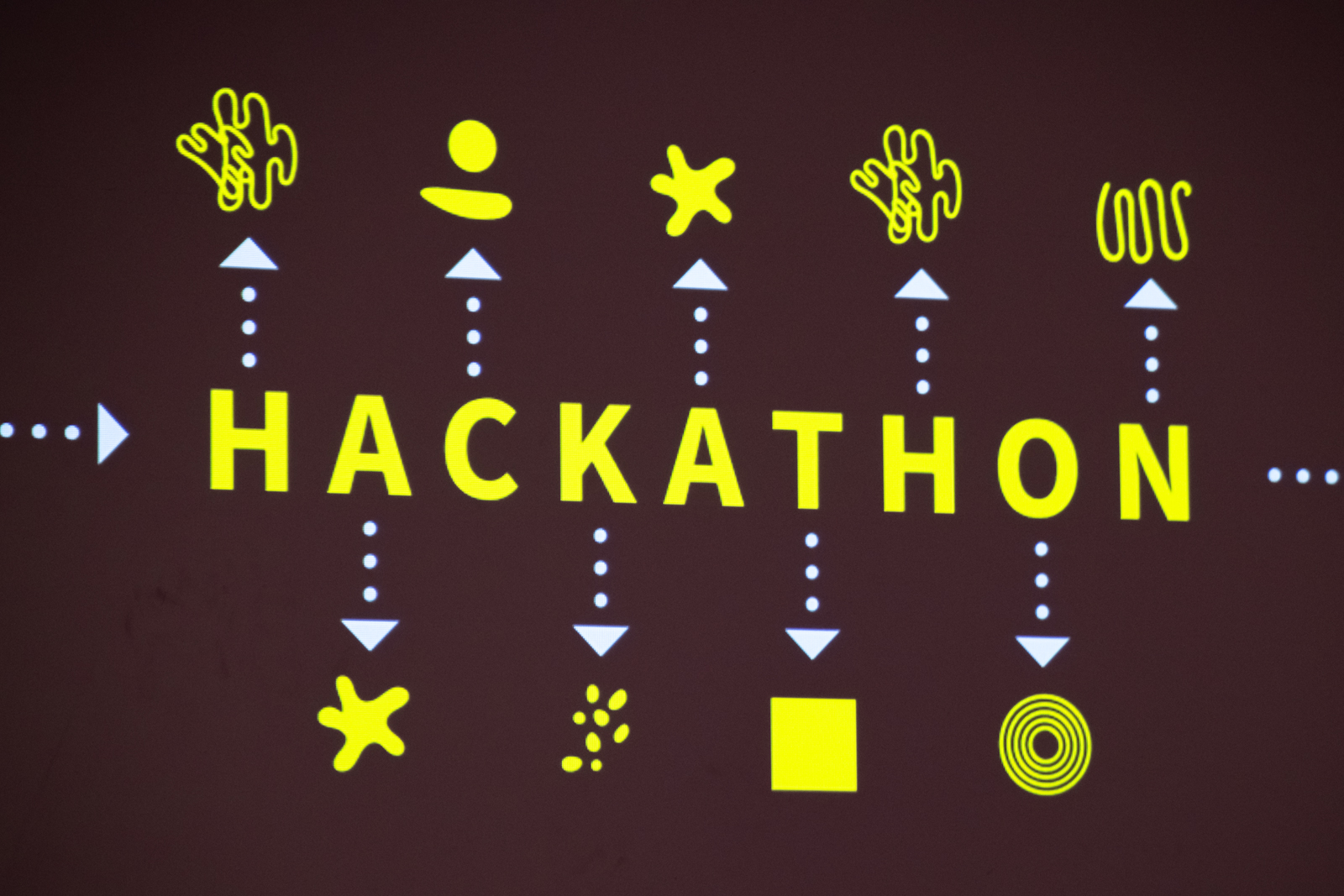 Hackathon-ul Neuroscience&Art BR41N.IO - UVT