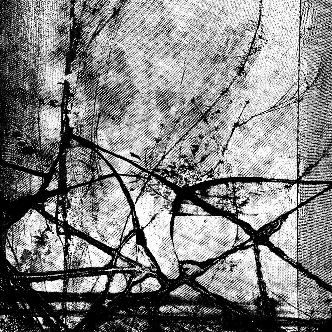 International Biennale of Miniature Arts Timișoara 2022, XNUMXth edition - UVT